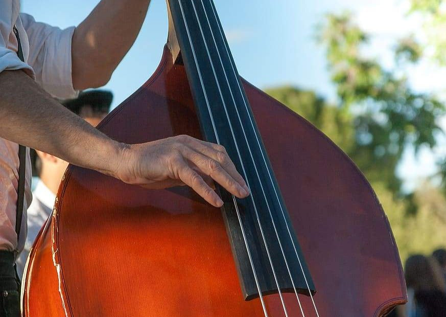 Double Bass Lessons – Parkland Music